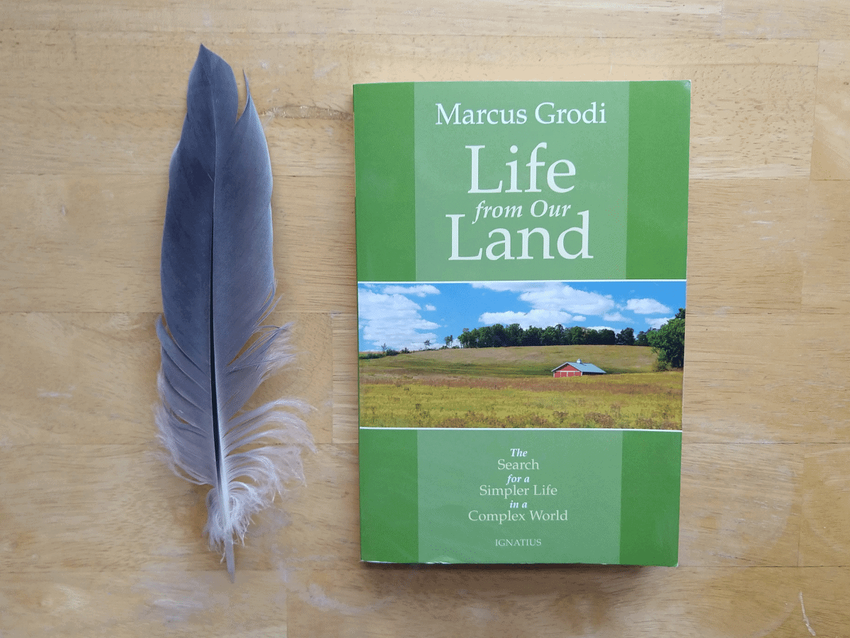 Book Review: Life From Our Land - Restored to Land