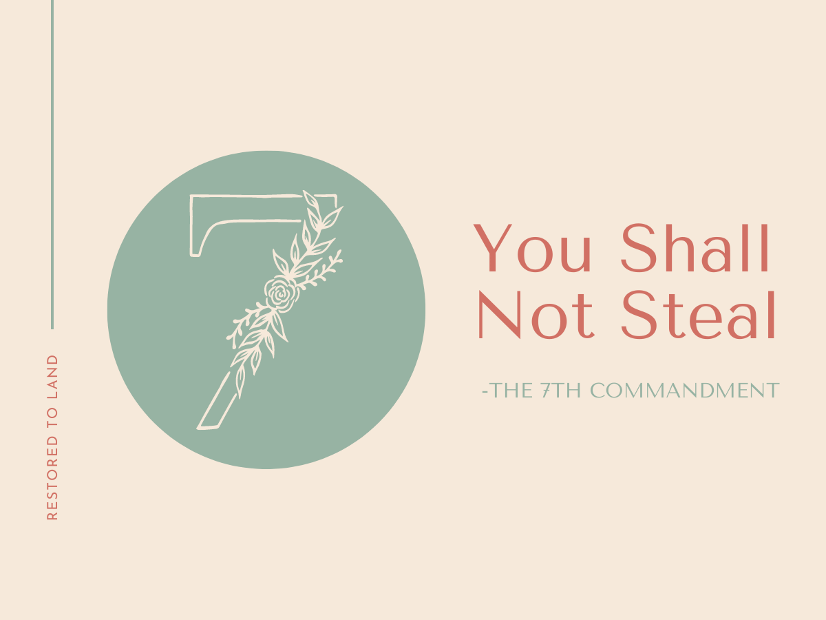The 7th Commandment Makes Minimalism Easy - Restored to Land