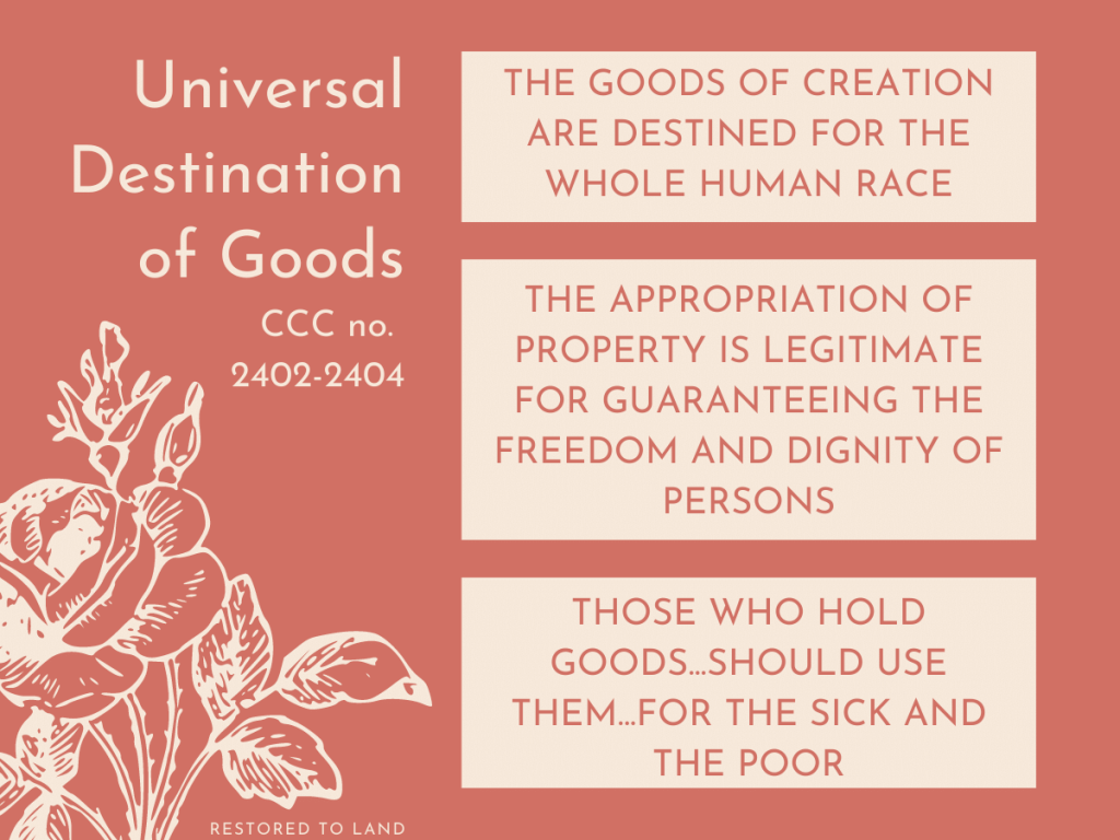 The 7th Commandment Makes Minimalism Easy - Restored to Land