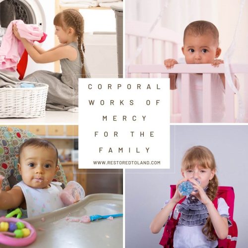 Corporal Works of Mercy in the Family - Restored to Land