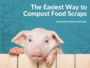 The Easiest Way to Compost Food Scraps - Restored to Land